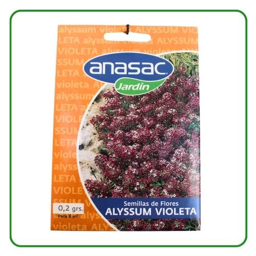 Semilla Flor Alyssum Violeta – Césped el Valle